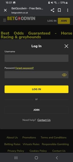 BetGoodwin Review (Sportsbook & Casino) 2025 – Is It Safe and Legit?